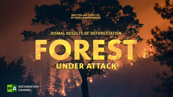 RTD Catalogue - Forest Under Attack